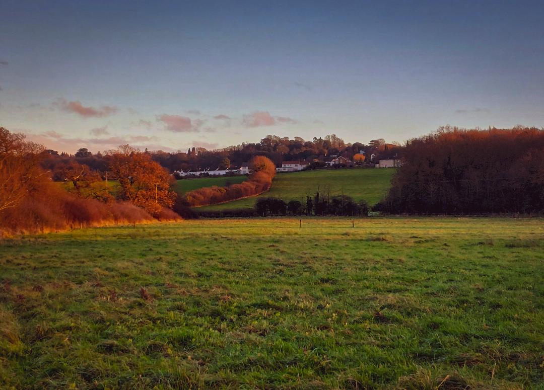 The Forest of Avon Partnership - Forest of Avon